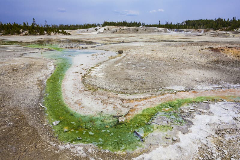 Colorful Land with a Cactus N the Wilderness Stock Photo - Image of ...