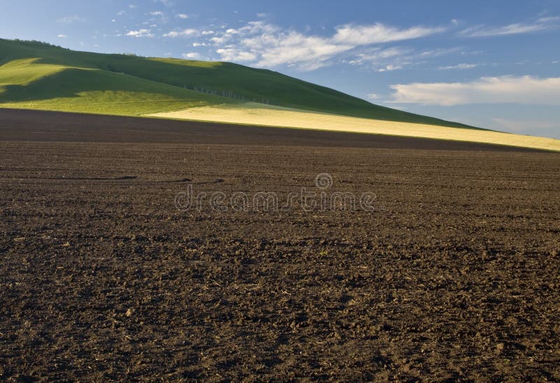 Colorful Land with a Cactus N the Wilderness Stock Photo - Image of ...