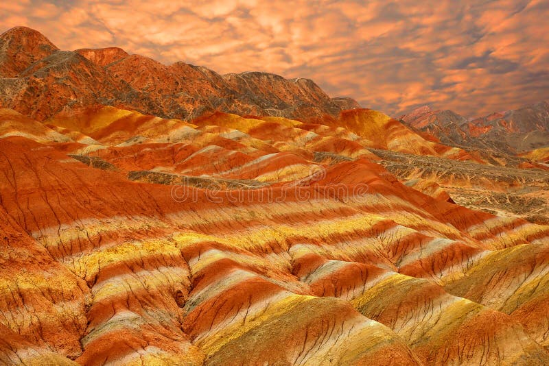Colorful Land with a Cactus N the Wilderness Stock Photo - Image of ...