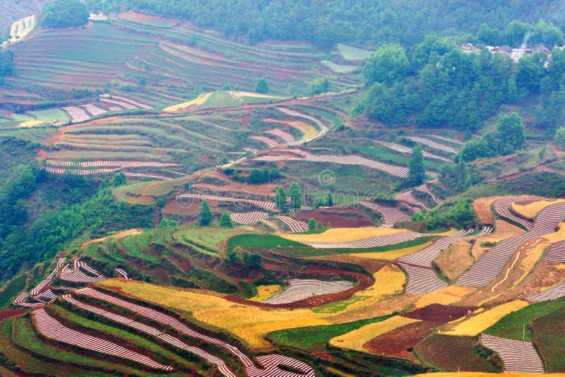 Colorful land stock image. Image of land, terrace, cropland - 9842105