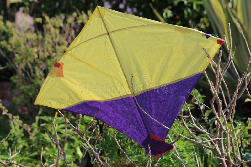 Colorful Landed Kite with Partial View Under Bright Daylight. Stock ...