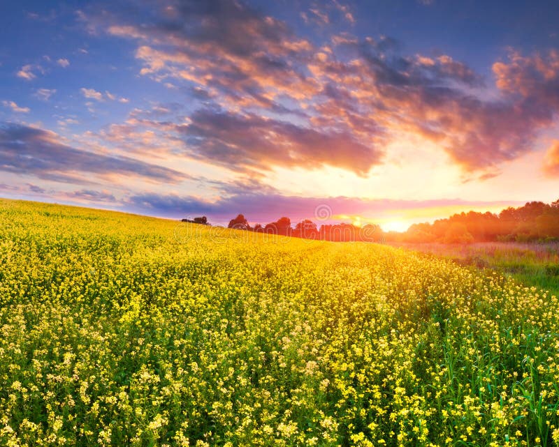 Colorful landscape stock photo. Image of beauty, clear - 21366106