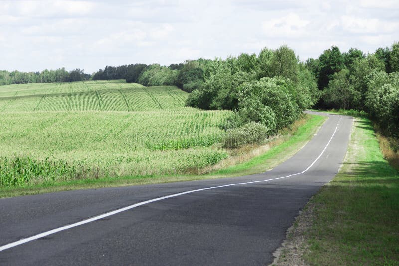 Colorful Landscape with the Field, Road and Bushes Stock Image - Image ...