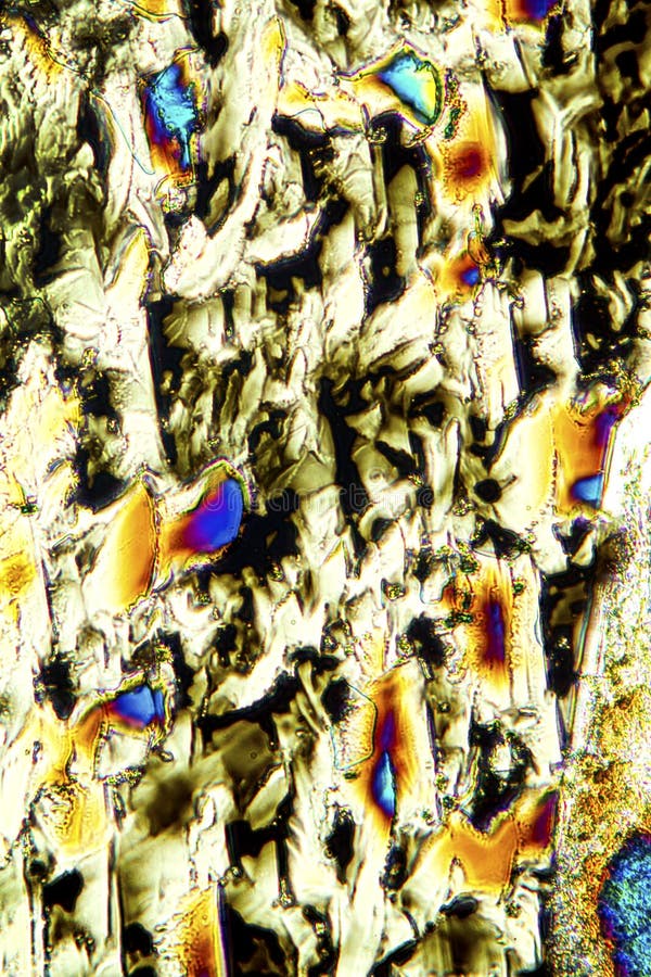 Colorful Landscape of Glycine Crystals Under a Polarizing Microscope ...