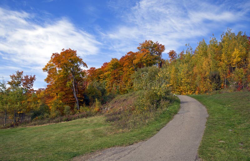 Colorful landscape stock image. Image of path, branch - 79198643