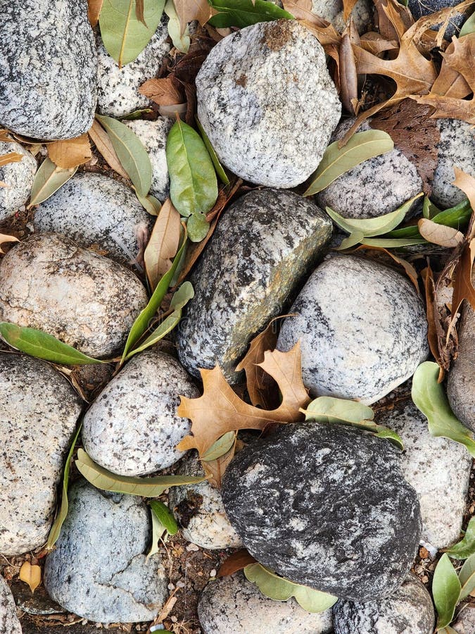 Colorful Landscape River Rocks and Leaves on the Ground Stock Photo ...