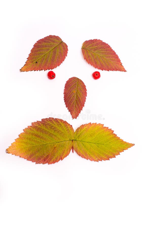 Colorful Leaves in Autumn. Face Stock Photo - Image of autumnal, macro ...