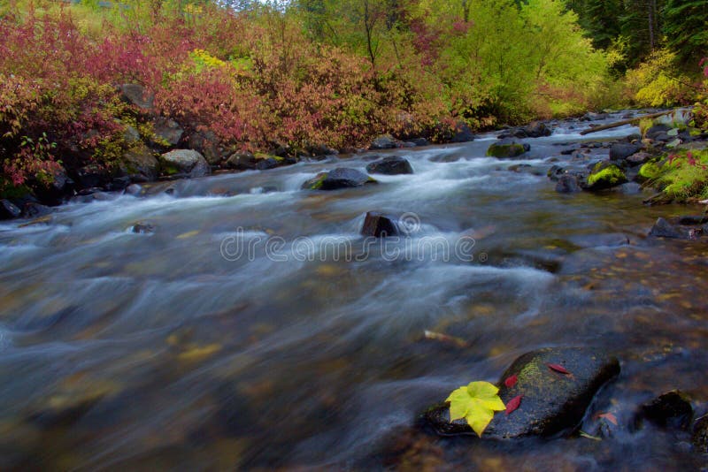 Fall Colors on the Stream stock photo. Image of colors - 101520280