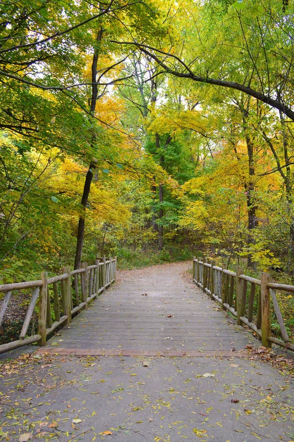 Colorful Leaves during Fall on a Walking Trail Stock Photo - Image of ...