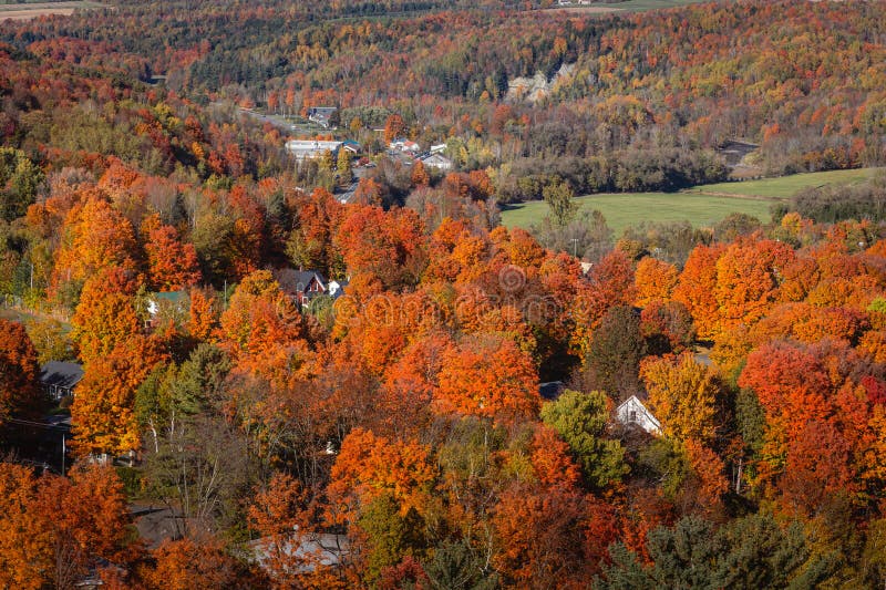 Colorful Leaves on Trees in Autumn Forest, Coaticook, Canada Stock ...