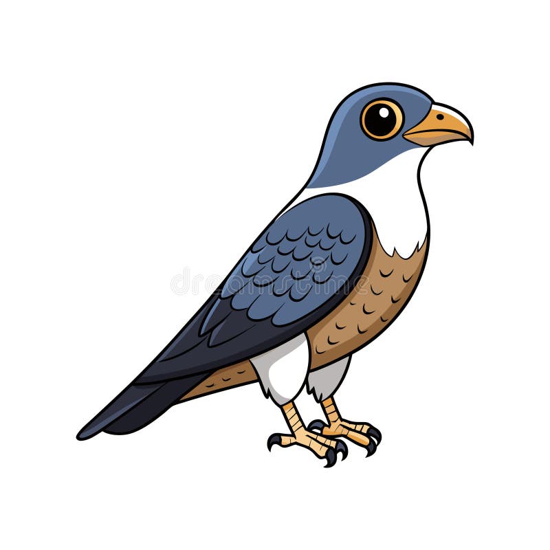 Colorful Lesser Nighthawk Artwork Stock Illustration - Illustration of ...