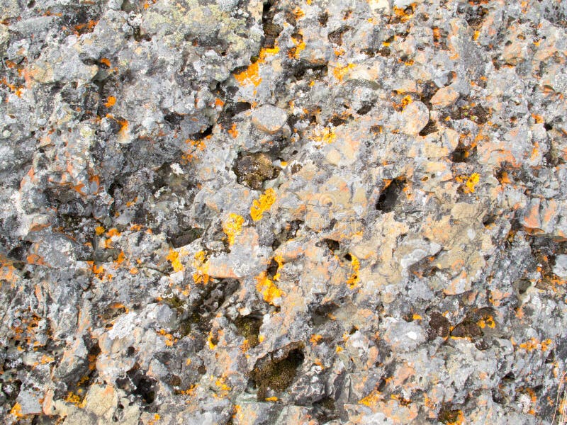 Colorful Lichens on Rocky Surface Background Stock Photo - Image of ...