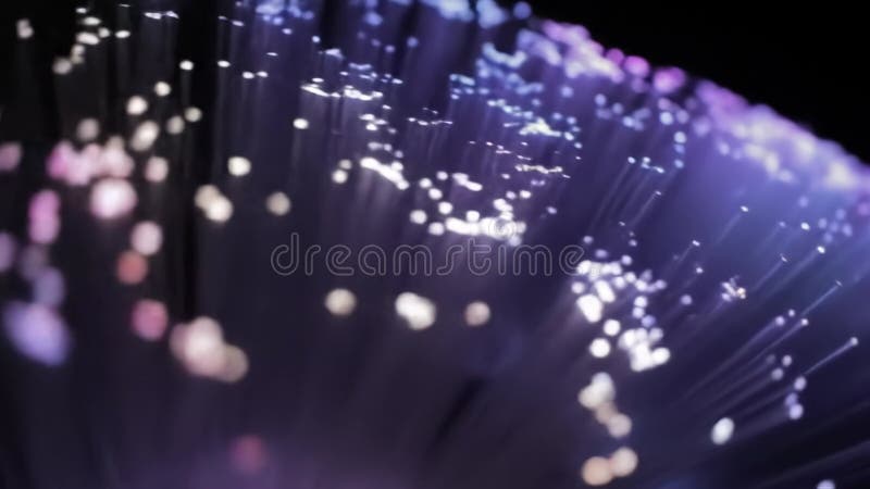 Colorful Light Display Showcases Fiber Optic Technology in Intricate ...