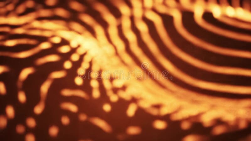 Colorful Light Patterns Create Stunning Visual Display in Urban ...