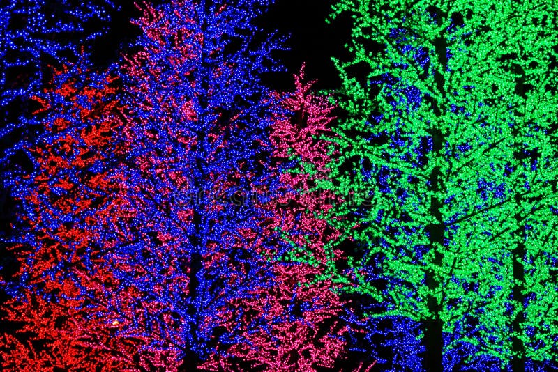 Colorful Light Tree stock photo. Image of brightness - 16184426