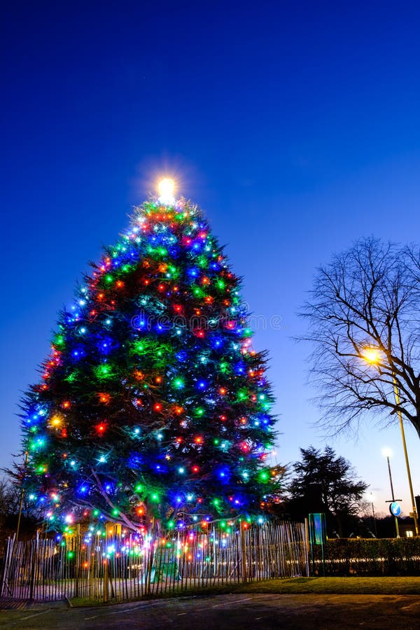 Colorful Lights on Big Christmas Tree Stock Image - Image of real ...