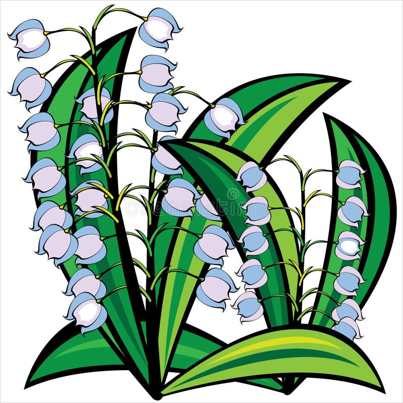 Bell Lilies Stock Illustrations – 215 Bell Lilies Stock Illustrations ...