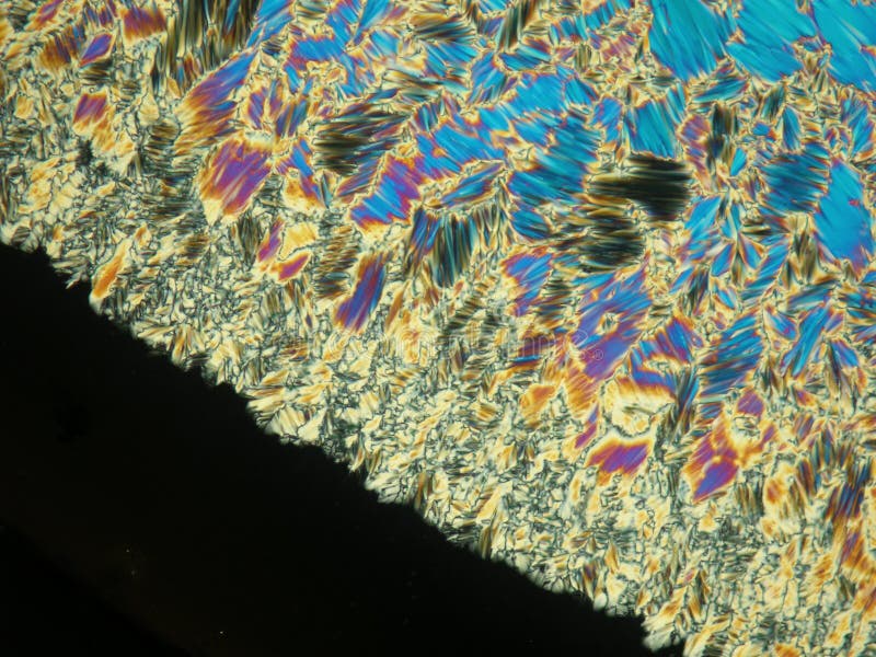 Colorful Liquid Crystal Under Polarized Light Microscope. Stock Image ...