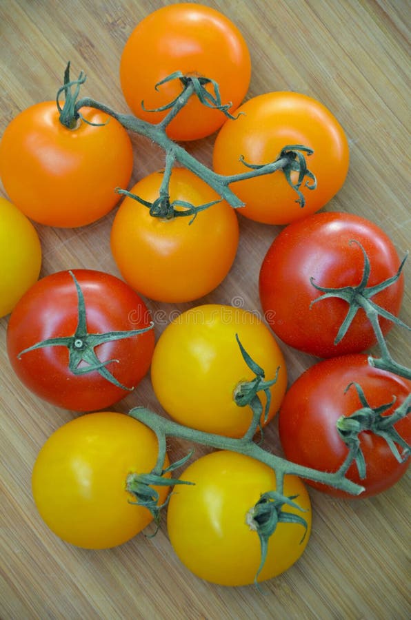 Colorful little tomatoes stock image. Image of healthy - 55699341