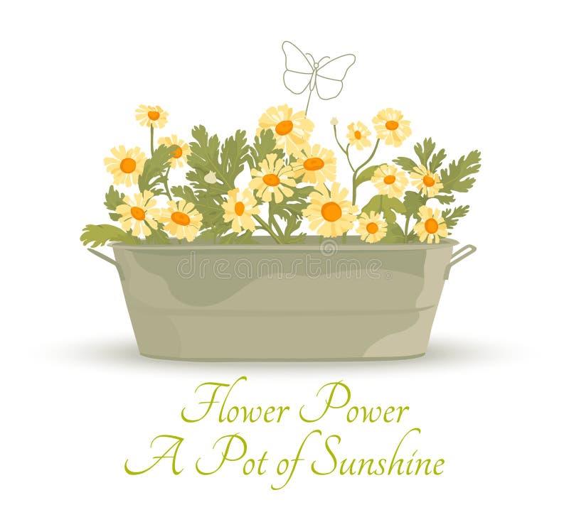 Colorful and Lively Composition with the Flowers Stock Vector ...