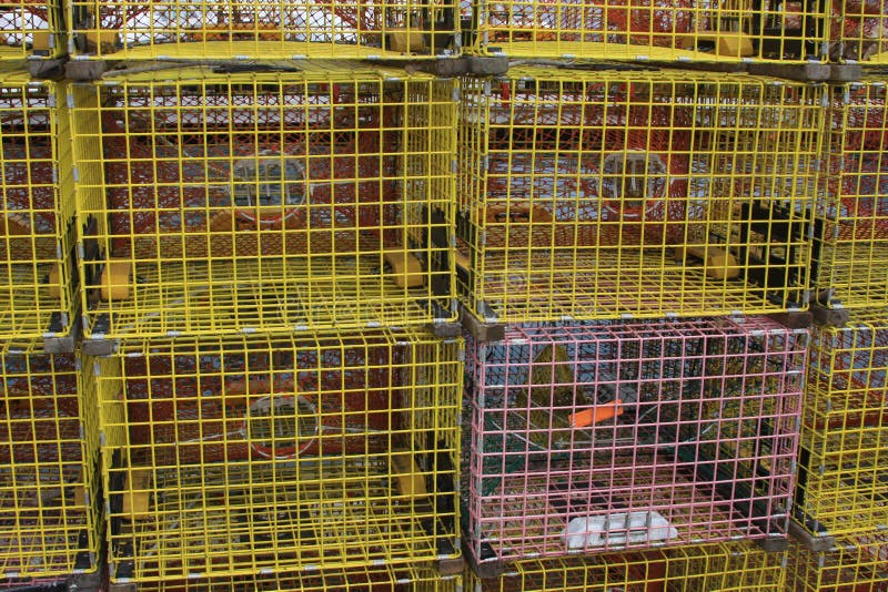 Colorful Lobster Traps stock image. Image of hard, catch - 13332993
