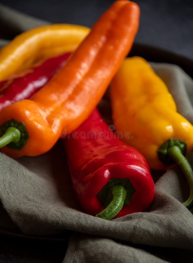 Colorful Long Sweet Peppers on Dark Background Stock Image - Image of ...