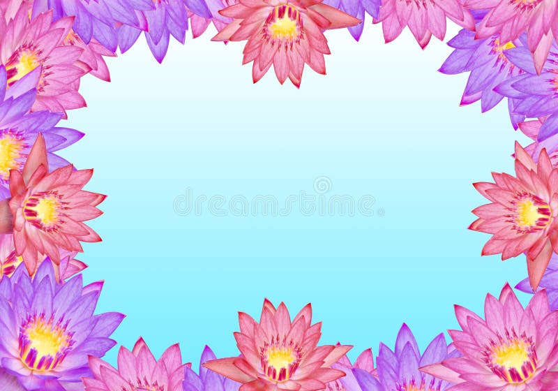 Colorful lotus flowers stock illustration. Illustration of beauty ...