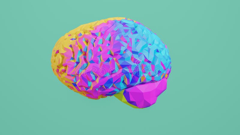 Colorful Low Poly Side View Brain 3D Render Isolated on Background ...