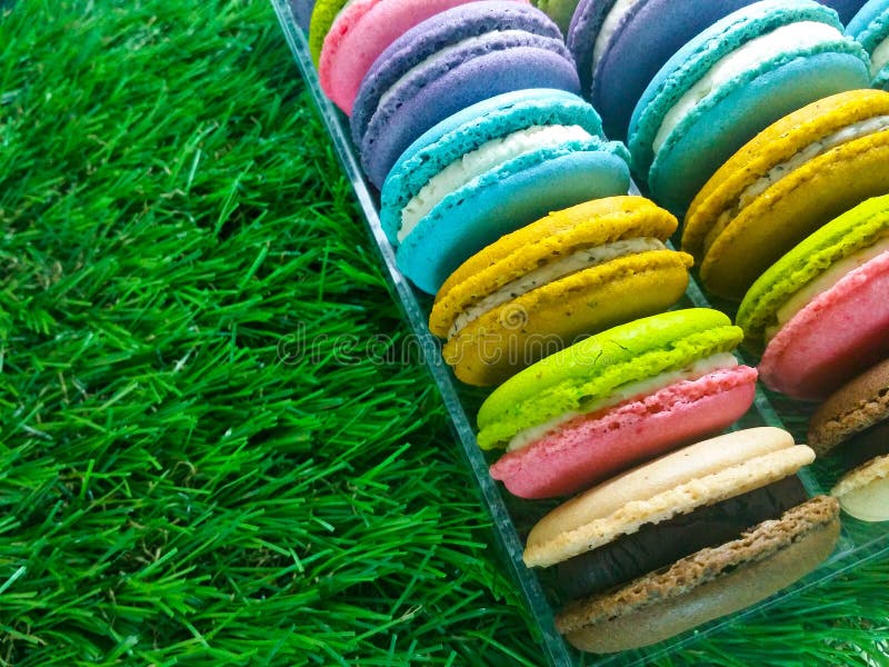 Colorful Macaron. stock image. Image of texture, indoor - 95249663