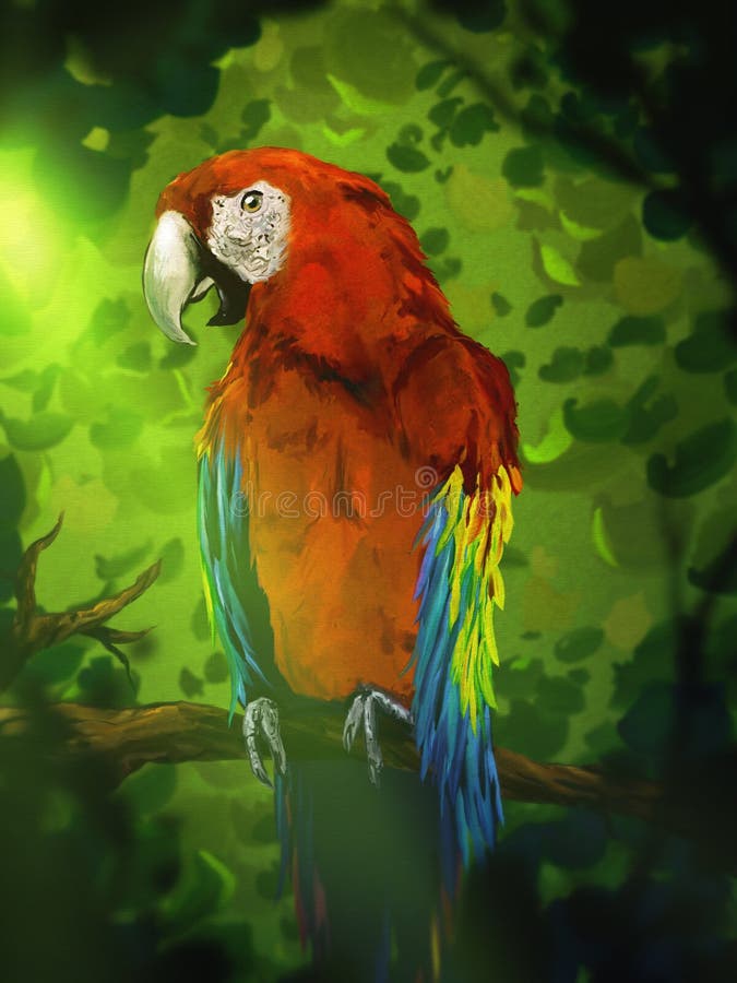 Colorful Macaw Parrot - Digital Painting Stock Illustration ...