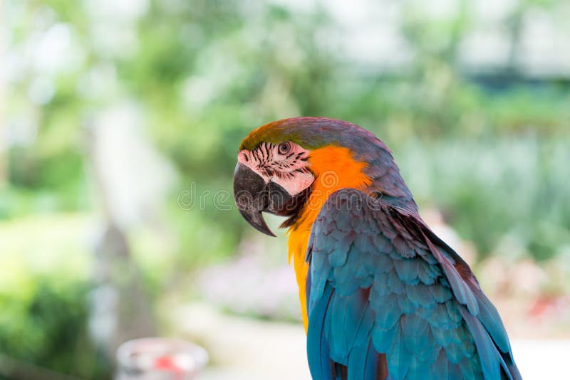 122 Crying Position Stock Photos - Free & Royalty-Free Stock Photos ...