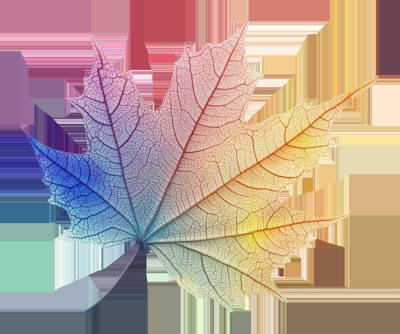 Colorful Maple Leaf with Rainbow Gradient Effect, Macro Photography ...