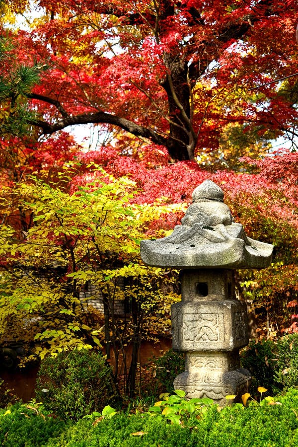 Colorful Maple Trees with an Ancient Stone Lantern Stock Image - Image ...