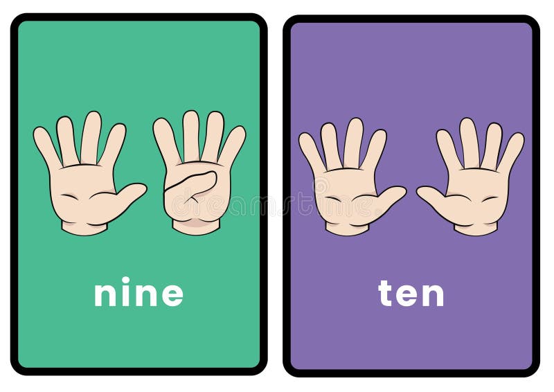 Colorful Math Number Illustrated Flashcards - 5 Stock Illustration ...