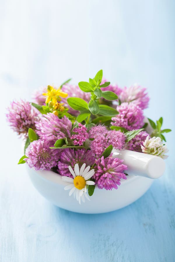 Colorful Medical Flowers and Herbs in Mortar Stock Photo - Image of ...