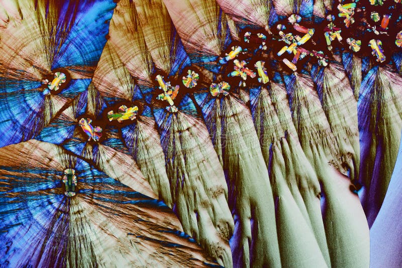 Colorful Micro Crystals in Polarized Light. Stock Photo - Image of ...
