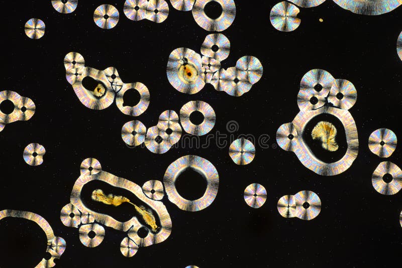 Colorful Micro Crystals in Polarized Light. Photo through a Microscope ...
