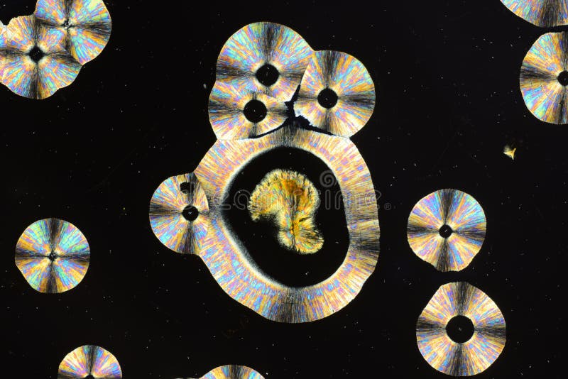 Colorful Micro Crystals in Polarized Light. Photo through a Microscope ...