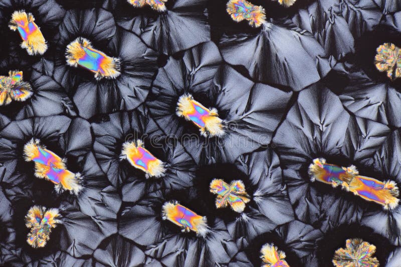 Colorful Micro Crystals in Polarized Light. Photo through a Microscope ...