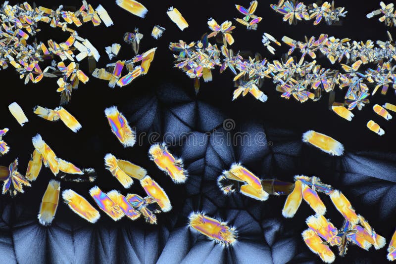 Colorful Micro Crystals in Polarized Light. Photo through a Microscope ...