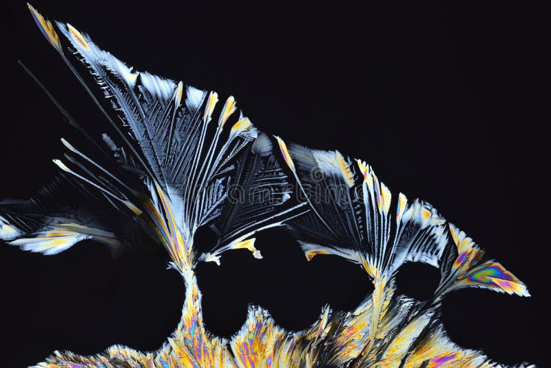 Colorful Micro Crystals in Polarized Light. Photo through a Microscope ...