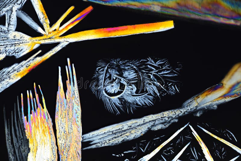 Colorful Micro Crystals in Polarized Light. Photo through a Microscope ...