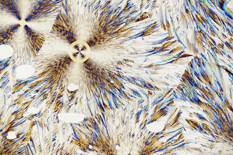 Colorful Micro Crystals in Polarized Light. Photo through a Microscope ...