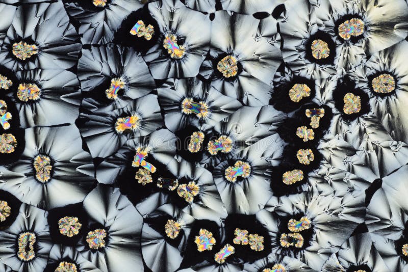 Colorful Micro Crystals in Polarized Light. Photo through a Microscope ...