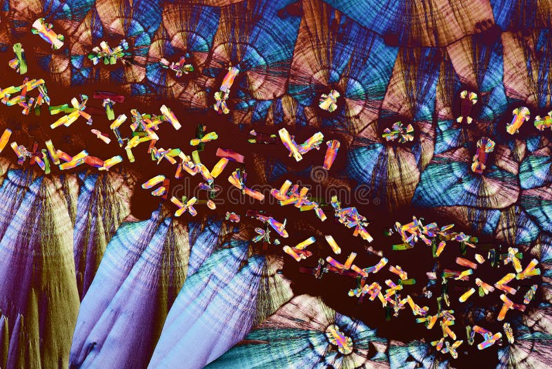 Colorful Micro Crystals in Polarized Light. Photo through a Microscope ...