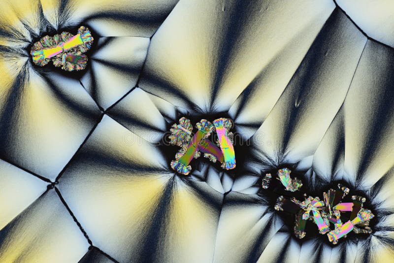 Colorful Micro Crystals in Polarized Light. Photo through a Microscope ...