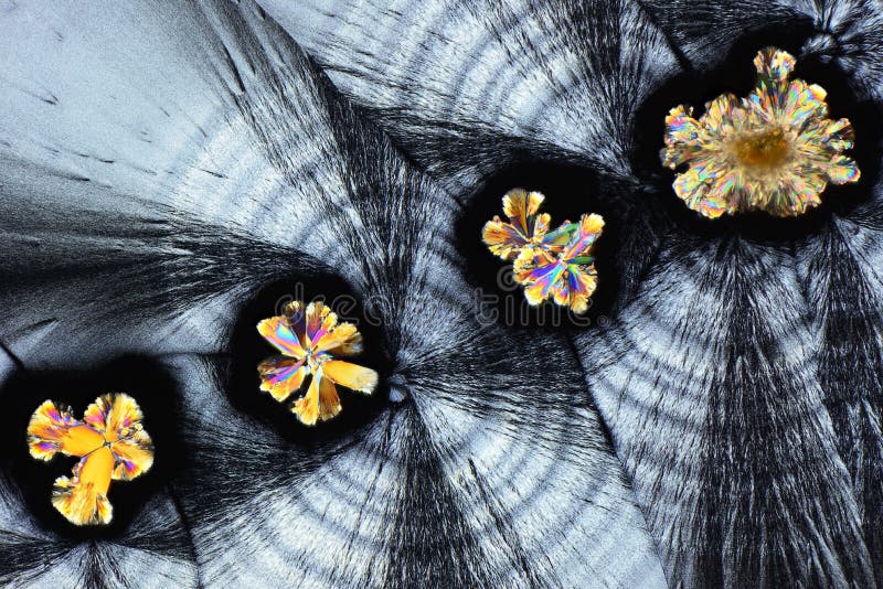 Colorful Micro Crystals in Polarized Light. Photo through a Microscope ...