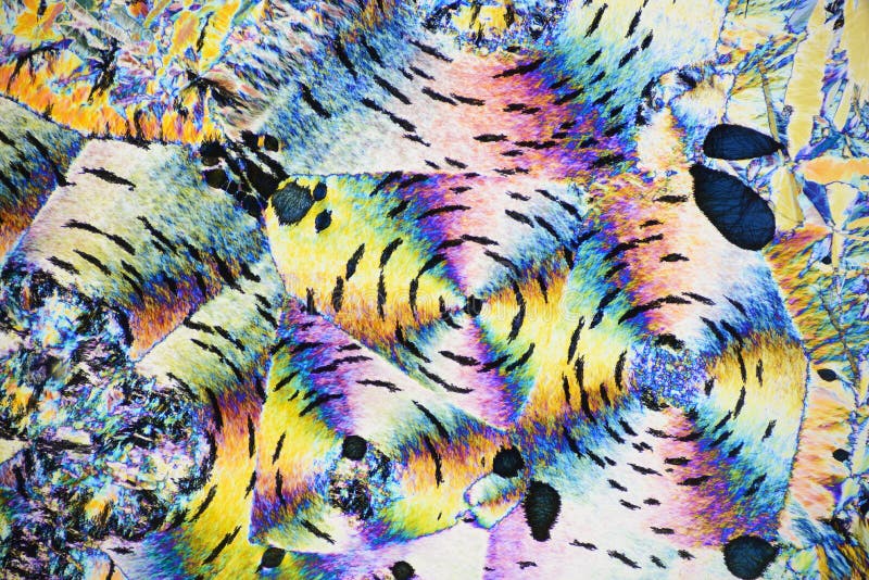 Colorful Micro Crystals in Polarized Light. Photo through a Microscope ...