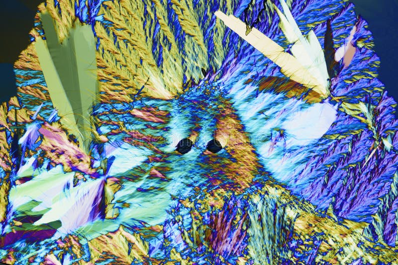 Colorful Micro Crystals in Polarized Light. Photo through a Microscope ...