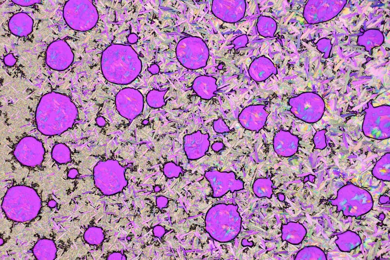 Colorful Micro Crystals in Polarized Light. Photo through a Microscope ...